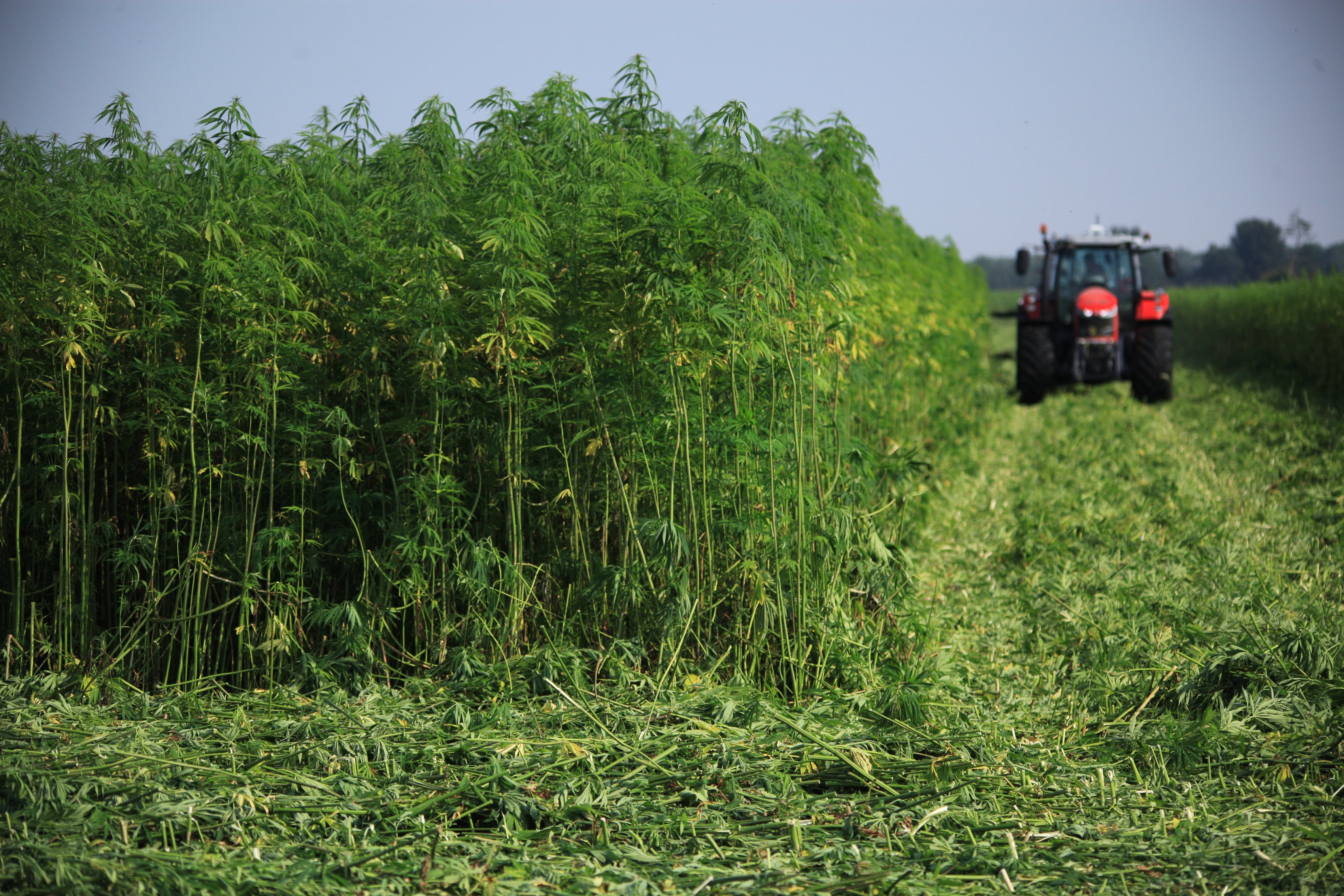 100mm IndiNature IndiTherm Hemp Flexibatt Insulation